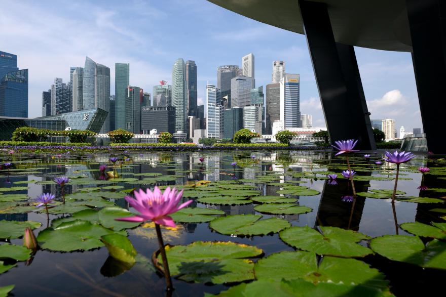 Inaugural GreenGov.SG report designed to be accessible , Opinion ...
