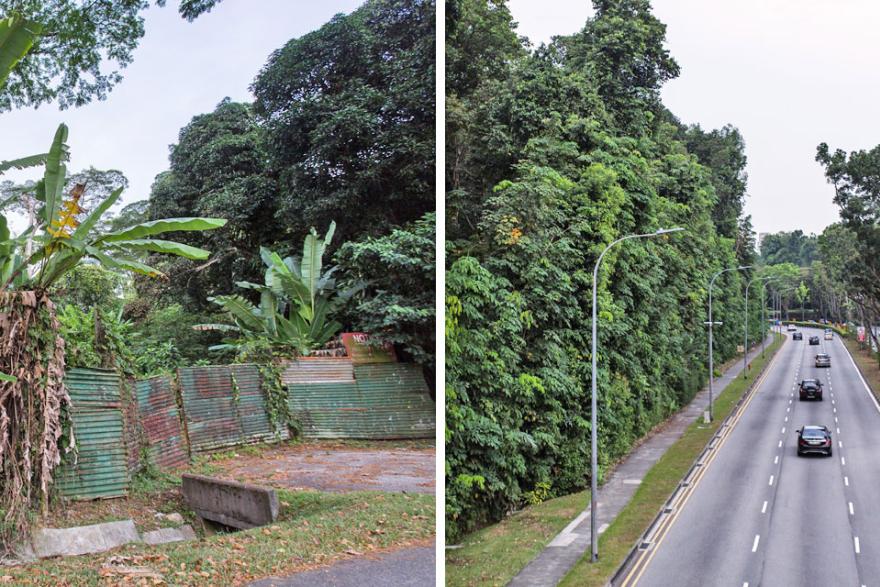 Tyersall Park site worth S$4.7b - if it can be sold, Property - THE ...